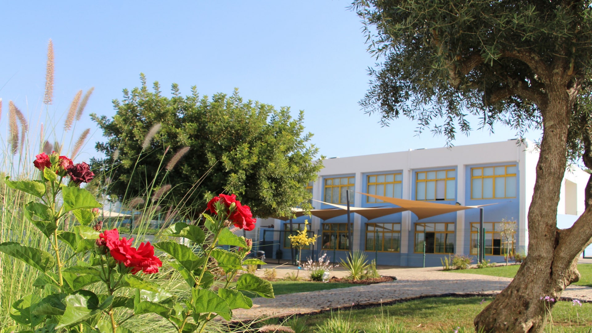 Physical Activities in Vilamoura: Options to Stay Active and Fit ...